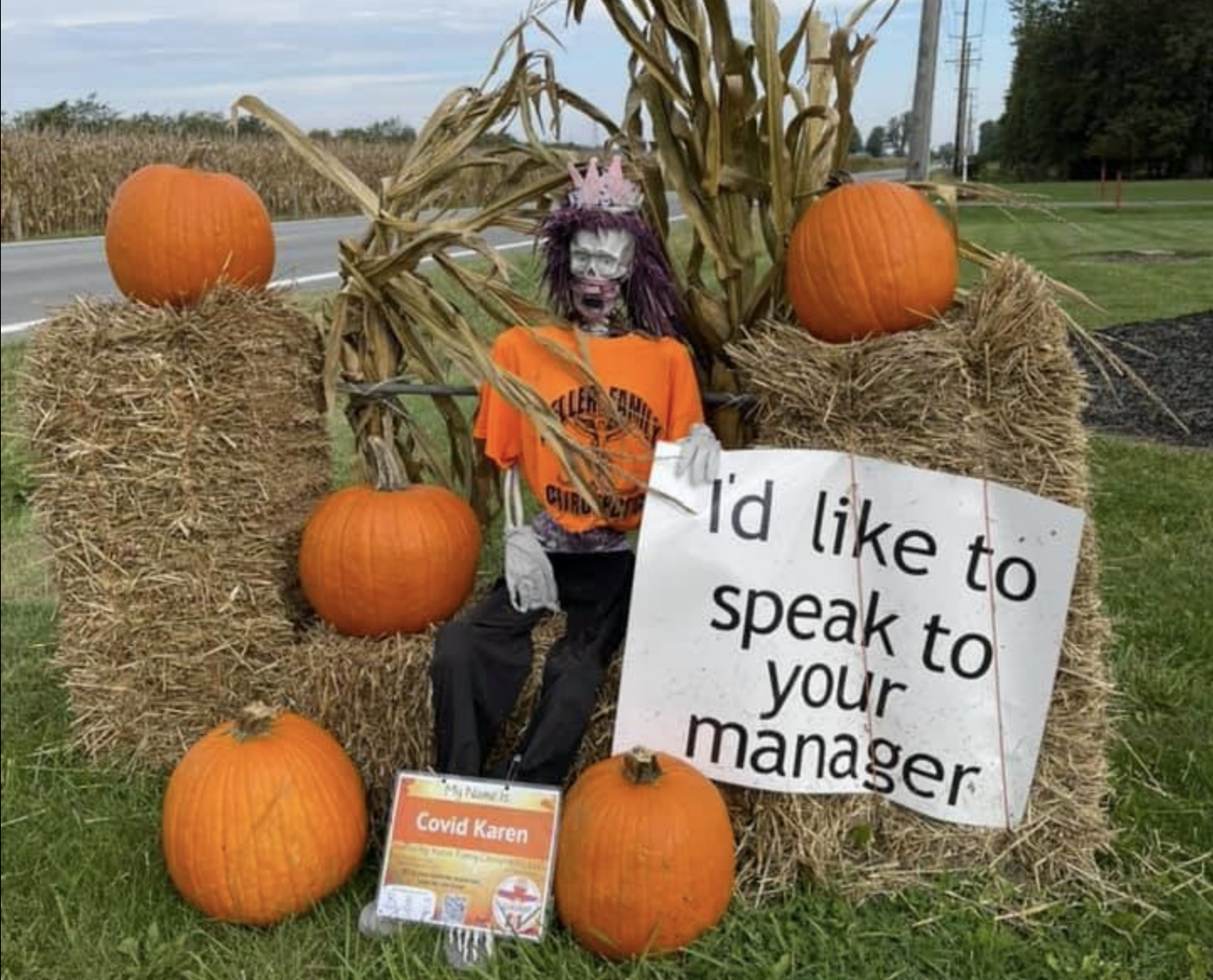 Visit Hundreds of Scarecrows Along Fairfield County's 'Trail of ...