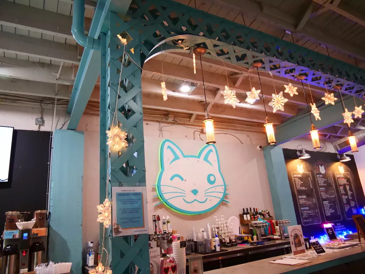 All the Adorable Kitties We Saw During Purrfect Day Cat Cafe's Pajama ...